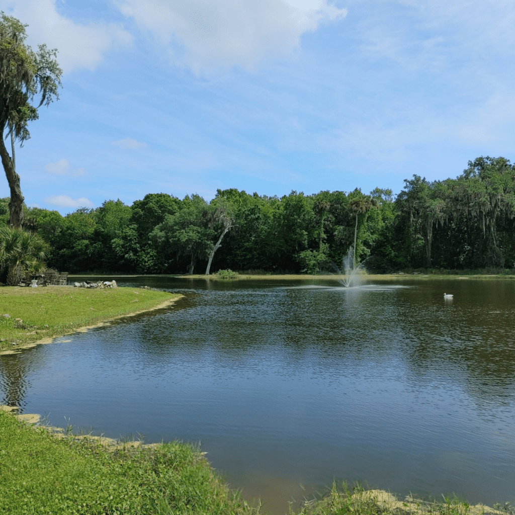 Finding Serenity: Peaceful Environment for Addiction Recovery