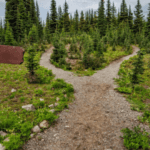 The Path Back to Wellness After Relapse